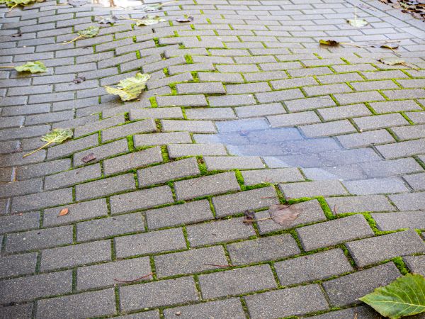 Professional Sunken Pavers Restoration, Submerged Pavers Renovation ...
